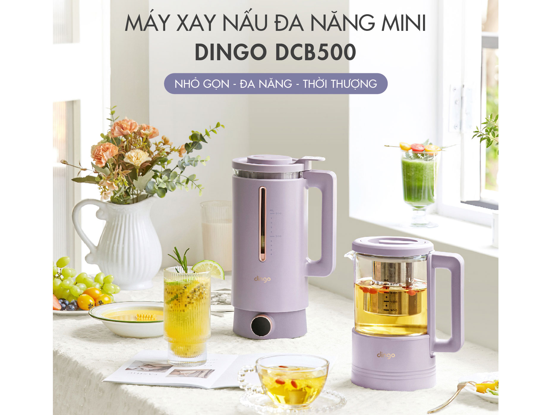 Máy xay nấu đa năng mini Dingo DCB500 - META.vn