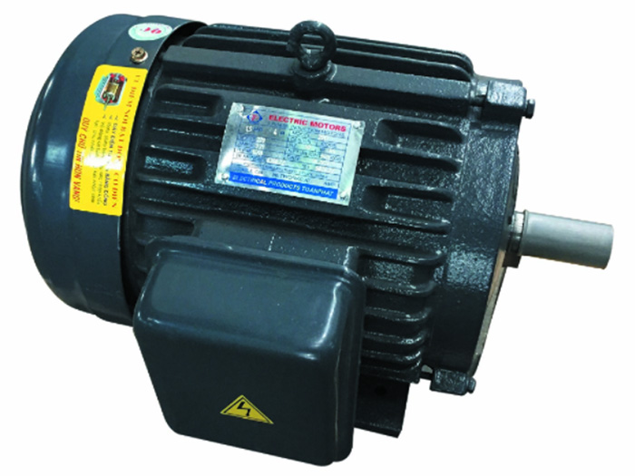 Động cơ điện 1 pha Toàn Phát 1HP vỏ gang - META.vn
