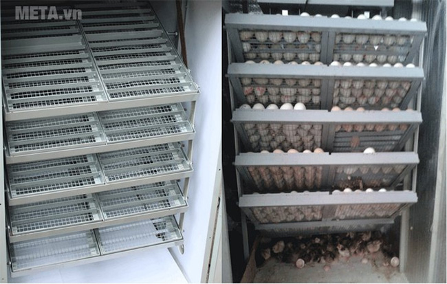 Máy ấp trứng Mactech 1000 trứng MAP1000PS (MT1000PS) - META.vn